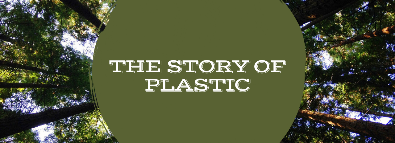 The Story of Plastic - Easy Peasy Greeny