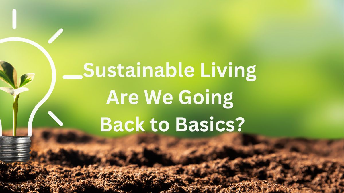 Sustainable Living – Are We Going Back to Basics? - Easy Peasy Greeny