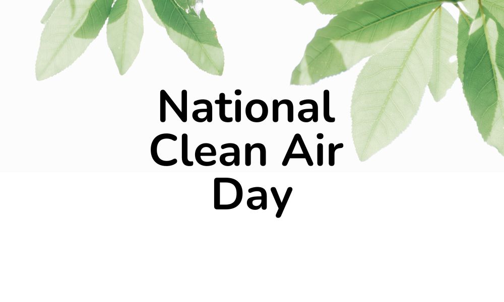 National Clean Air Day - Easy Peasy Greeny