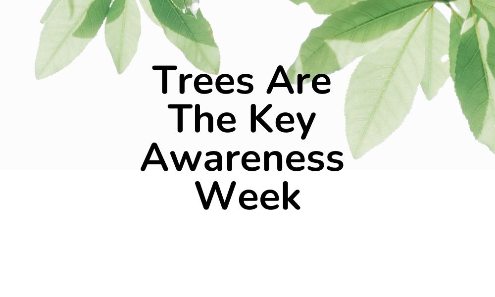 Trees Are The Key Awareness Week - Easy Peasy Greeny