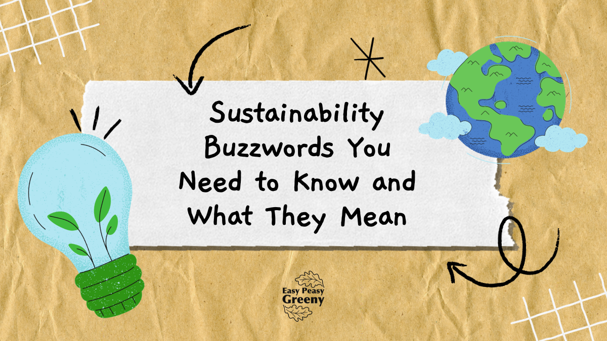 Sustainability Buzzwords You Need to Know and What They Mean
