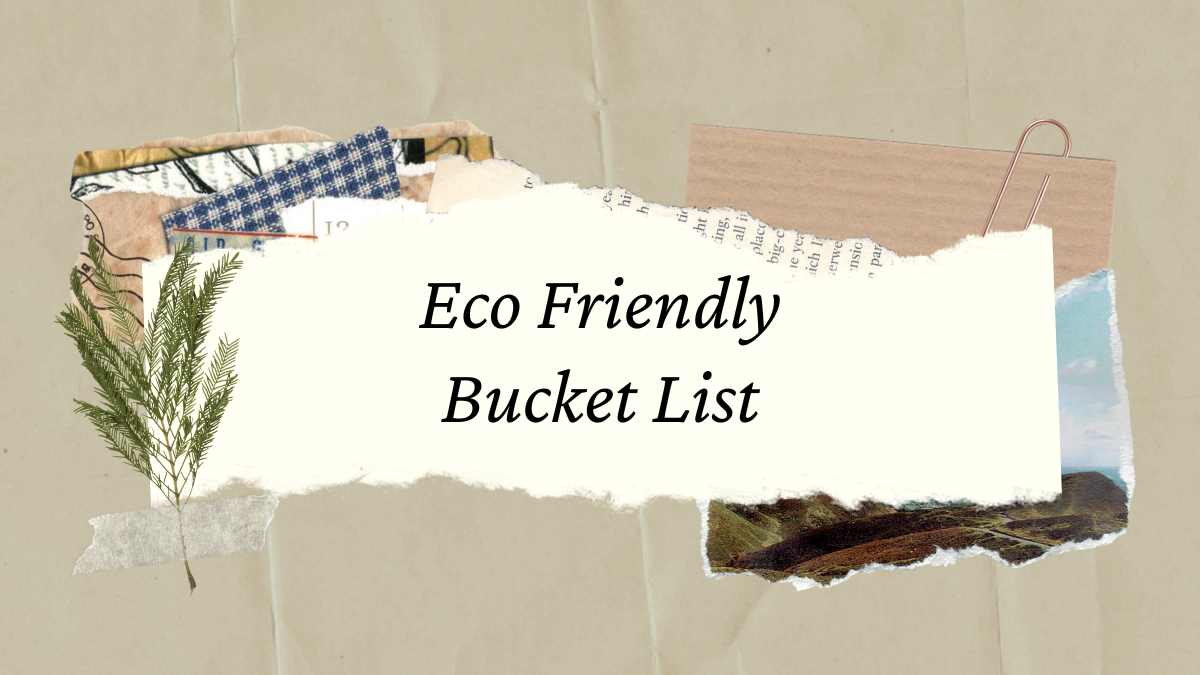 Eco Friendly Bucket List - Easy Peasy Greeny